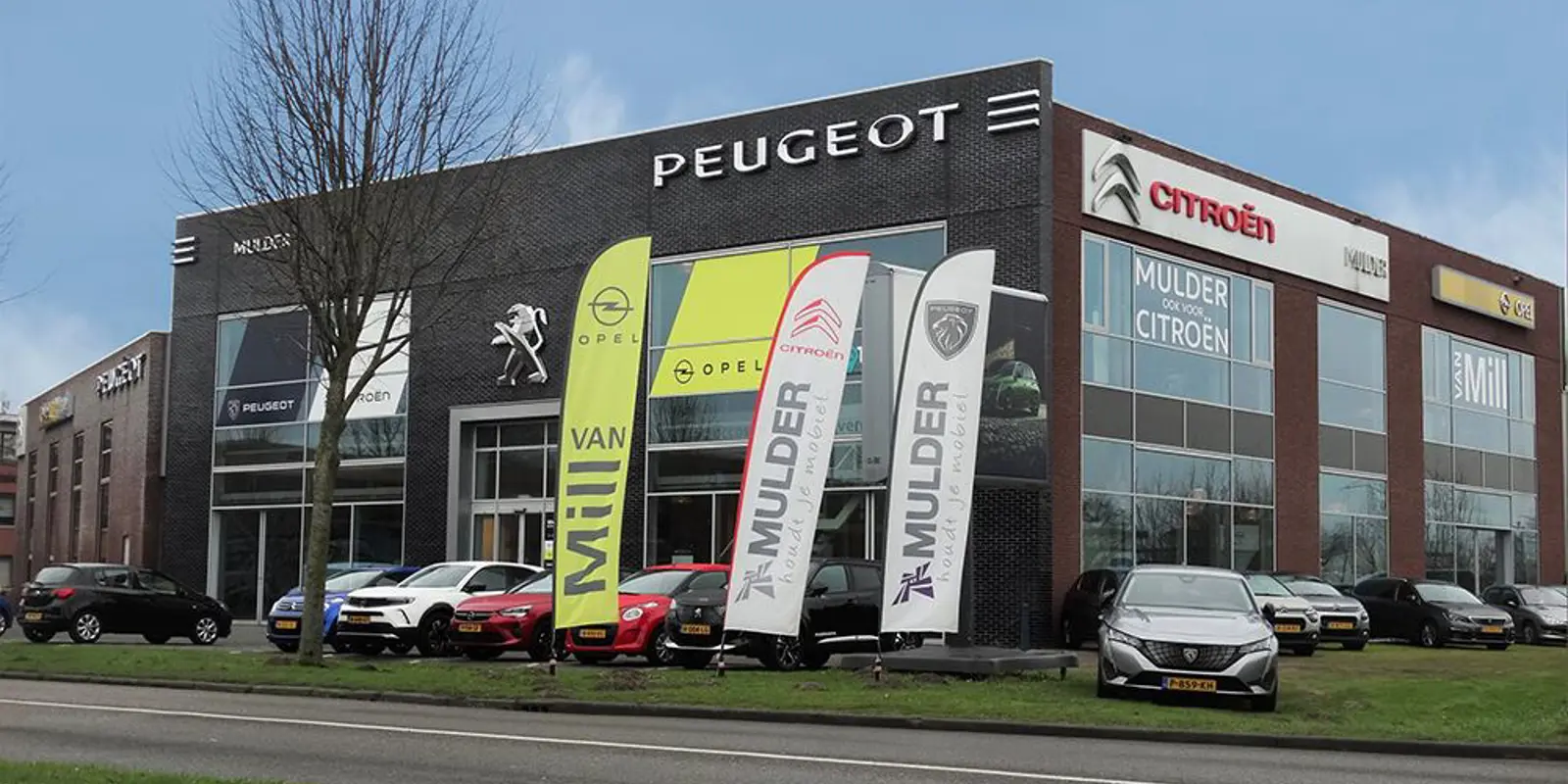 Vestiging Rotterdam | Mulder Van Mill