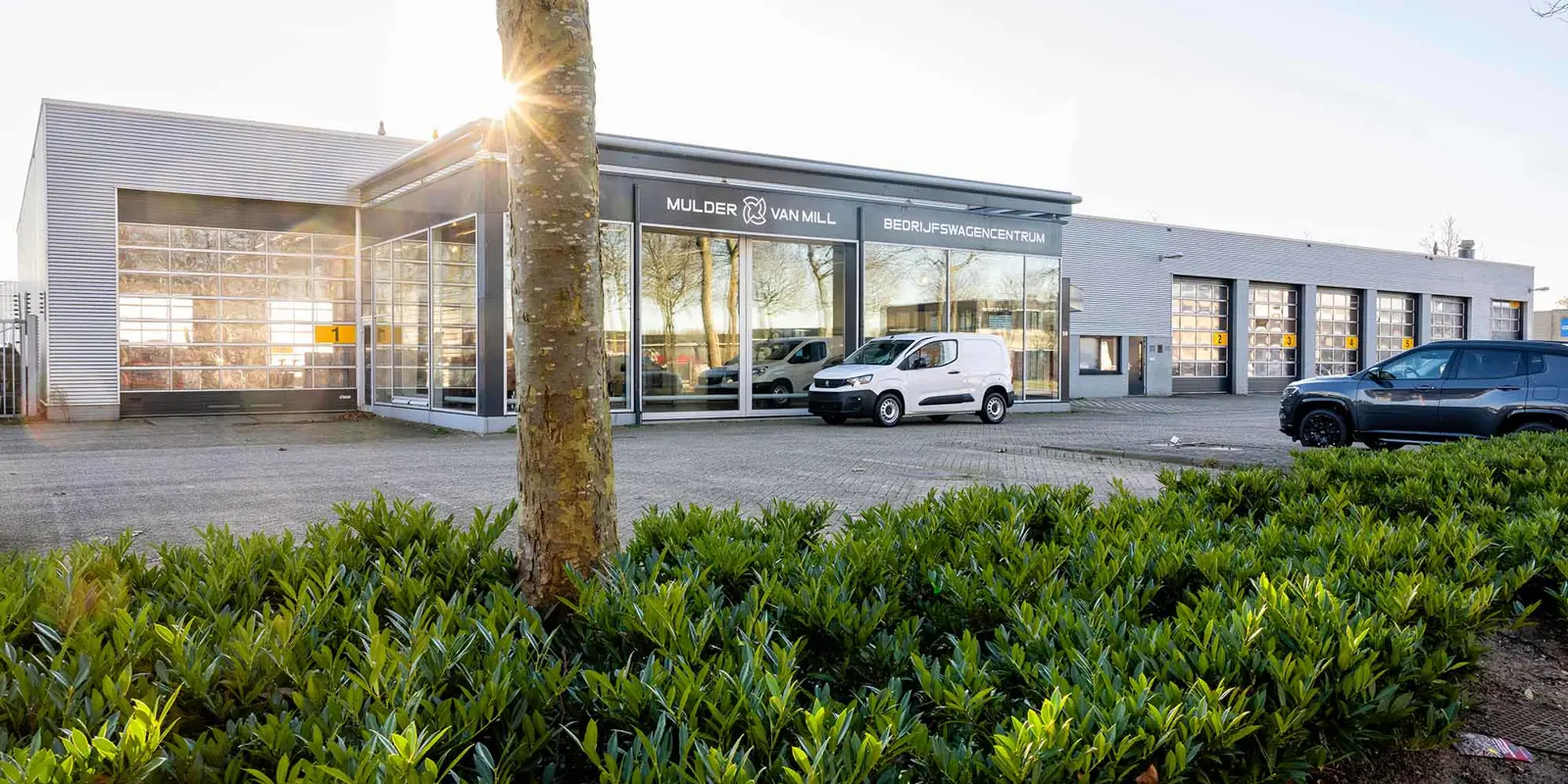Vestiging Rotterdam | Mulder Van Mill